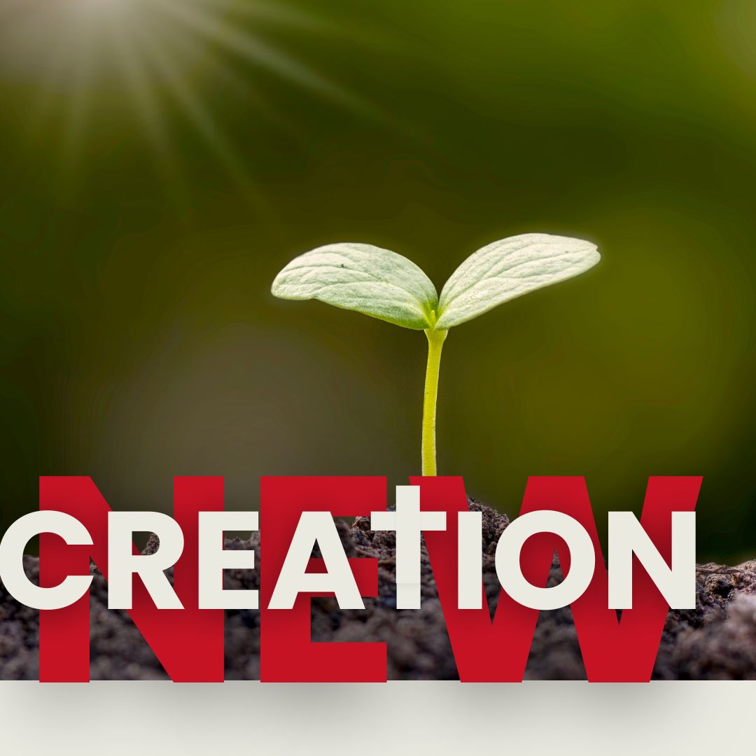 THE NEW CREATION: HIDDEN UNDER OUR NOSES – The Hungry Hearts Collective