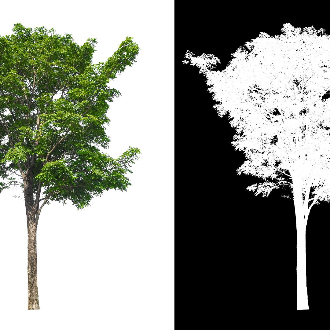 THE TREE OF KNOWLEDGE: THE CHOICE THAT DEFINED HUMANITY – The Hungry ...