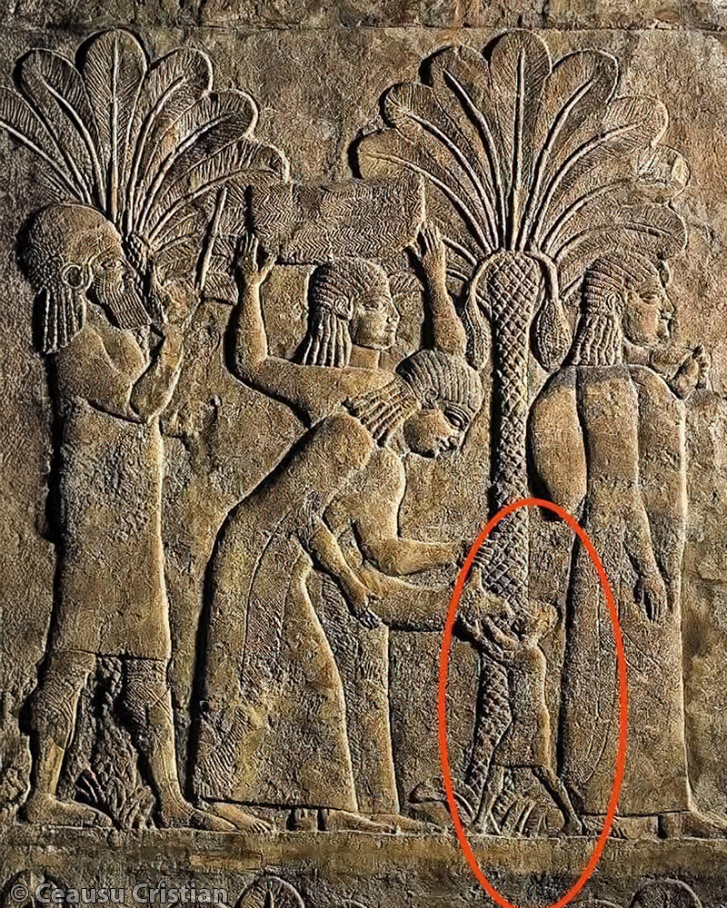 THERE WERE GIANTS IN THE LAND: THE “BIG MEN” OF MESOPOTAMIA AND THE ...